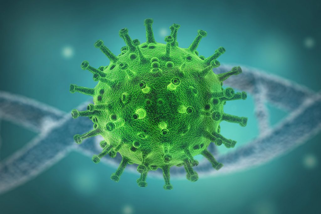 Conceito de Imunidade Inata e Adaptativa - Biomedicina Online